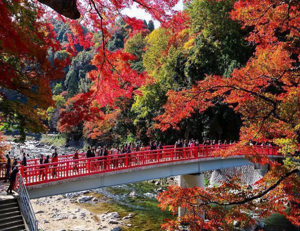 OBARA AUTUMN ZAKURA & KORANKEI JYOETSU 2